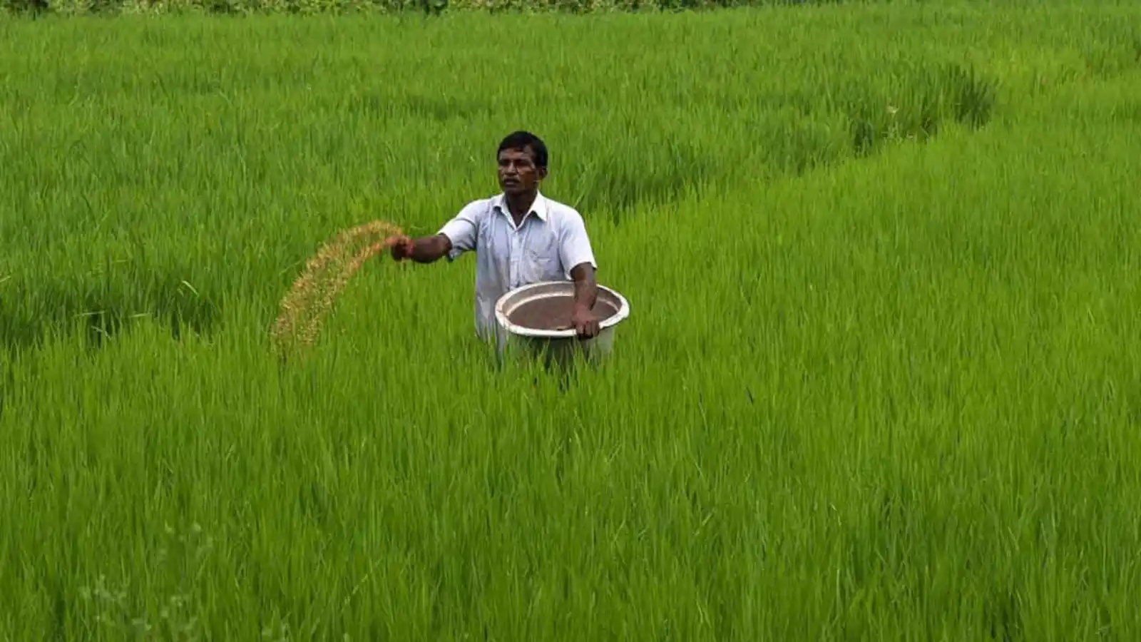 Budget 2026: Agritech industry sees digital advisory push as ...